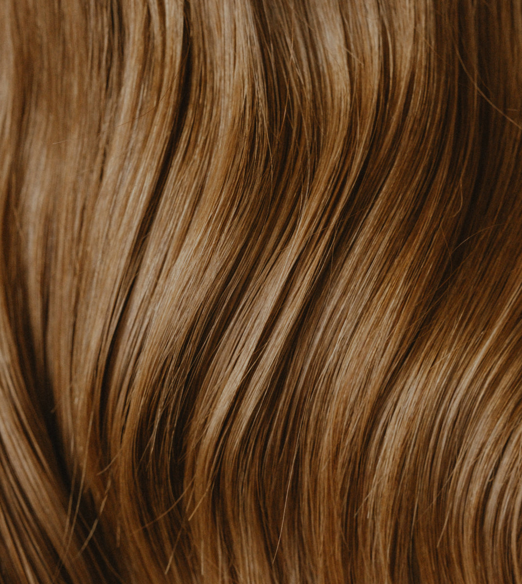 Buy Primal Hair Growth Complex | Primal Harvest 🥇